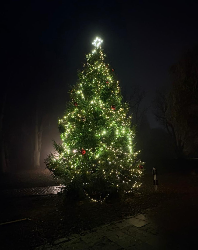 Rozsvícení vánočního stromu 2025 - Oficiální stránky města OSEK